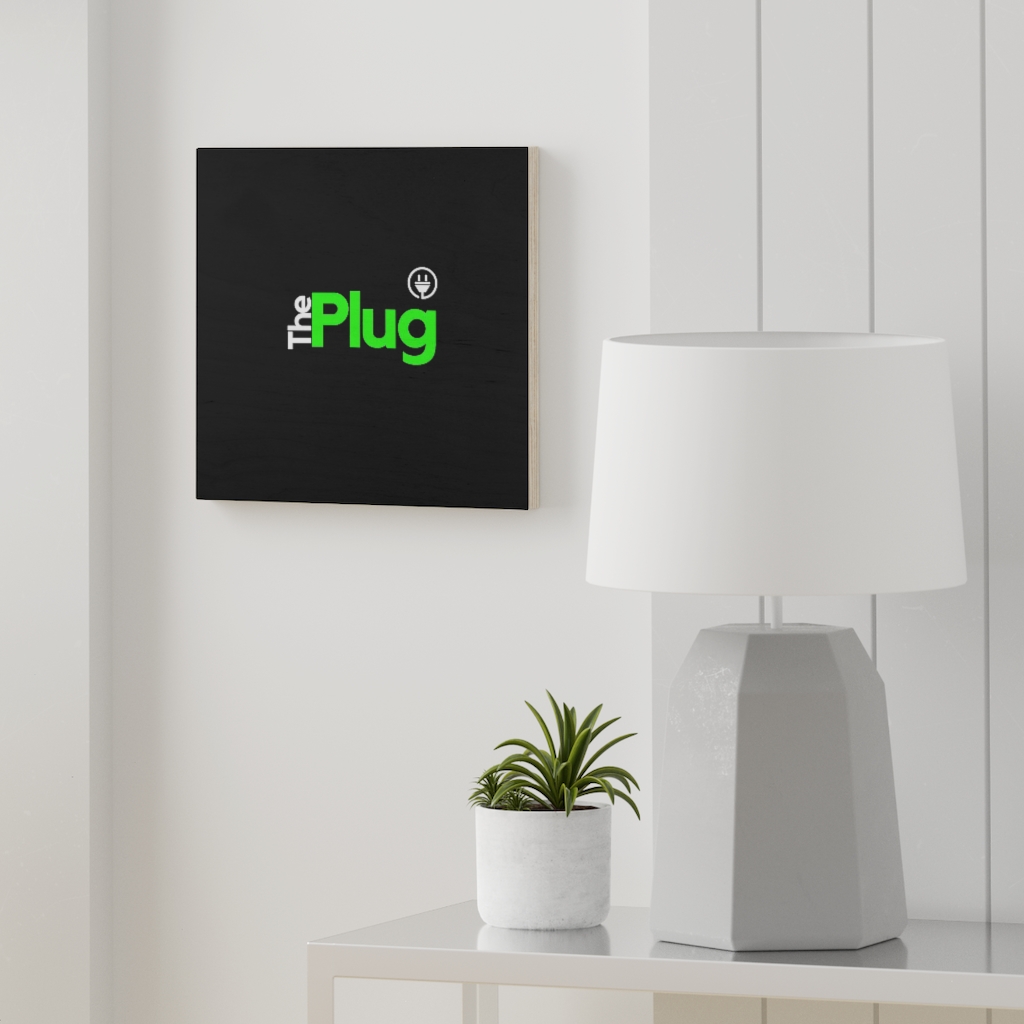 The Plug Hoodie – The Plug Delivery